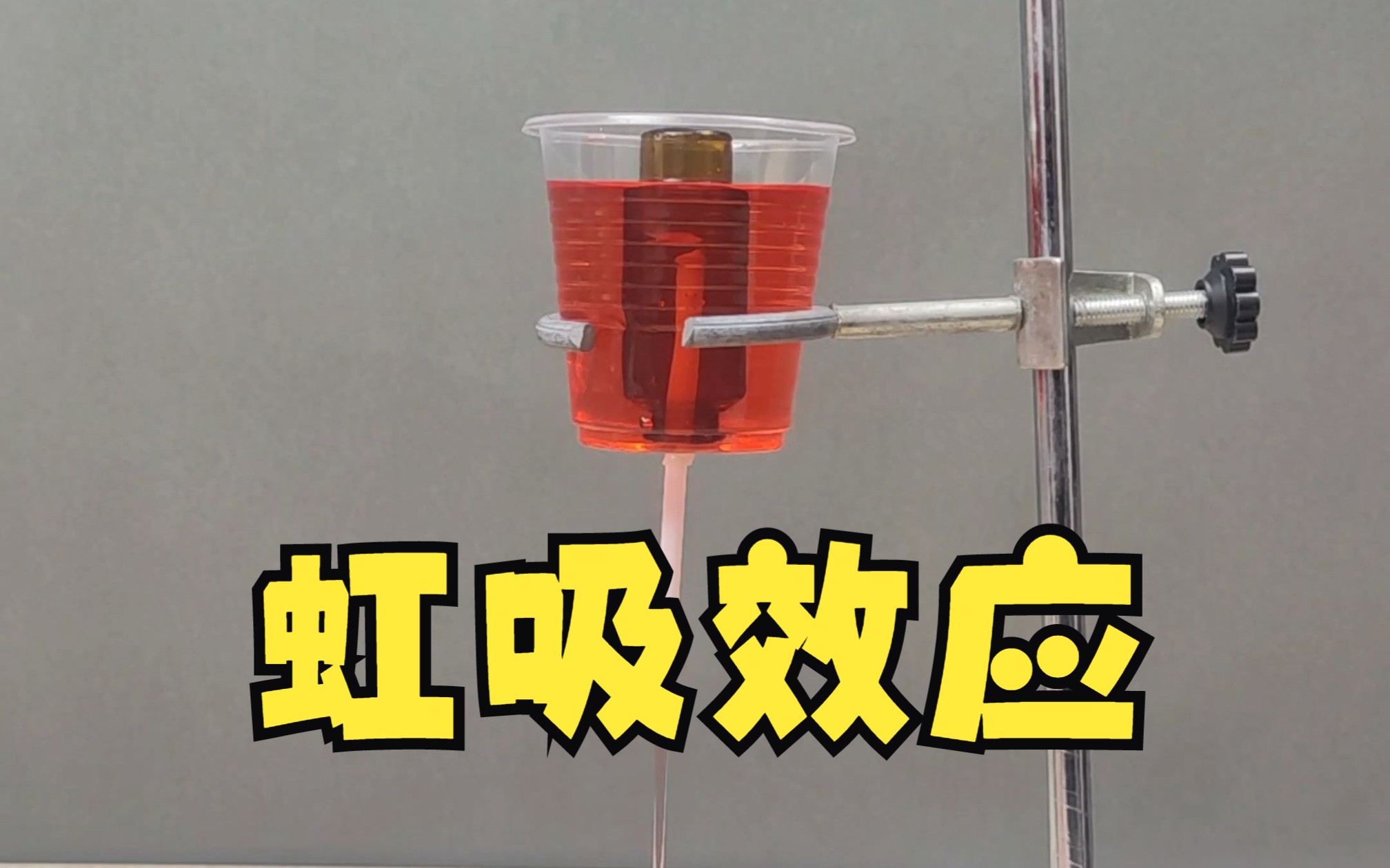 初二物理。虹吸效应,大气压强液体重力液体分子间的引力共同作用的...