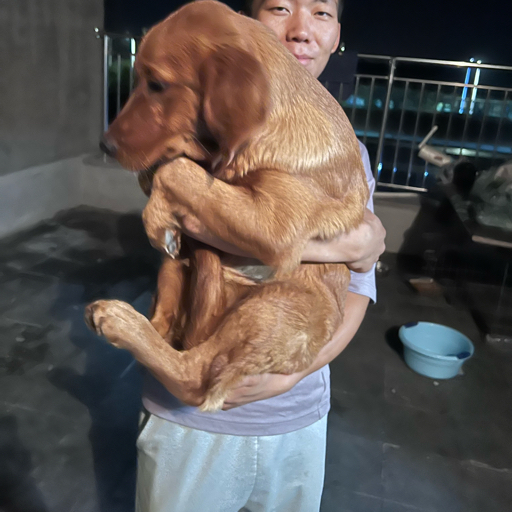 傻根的日常 