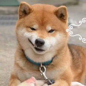沐沐得我卜信 