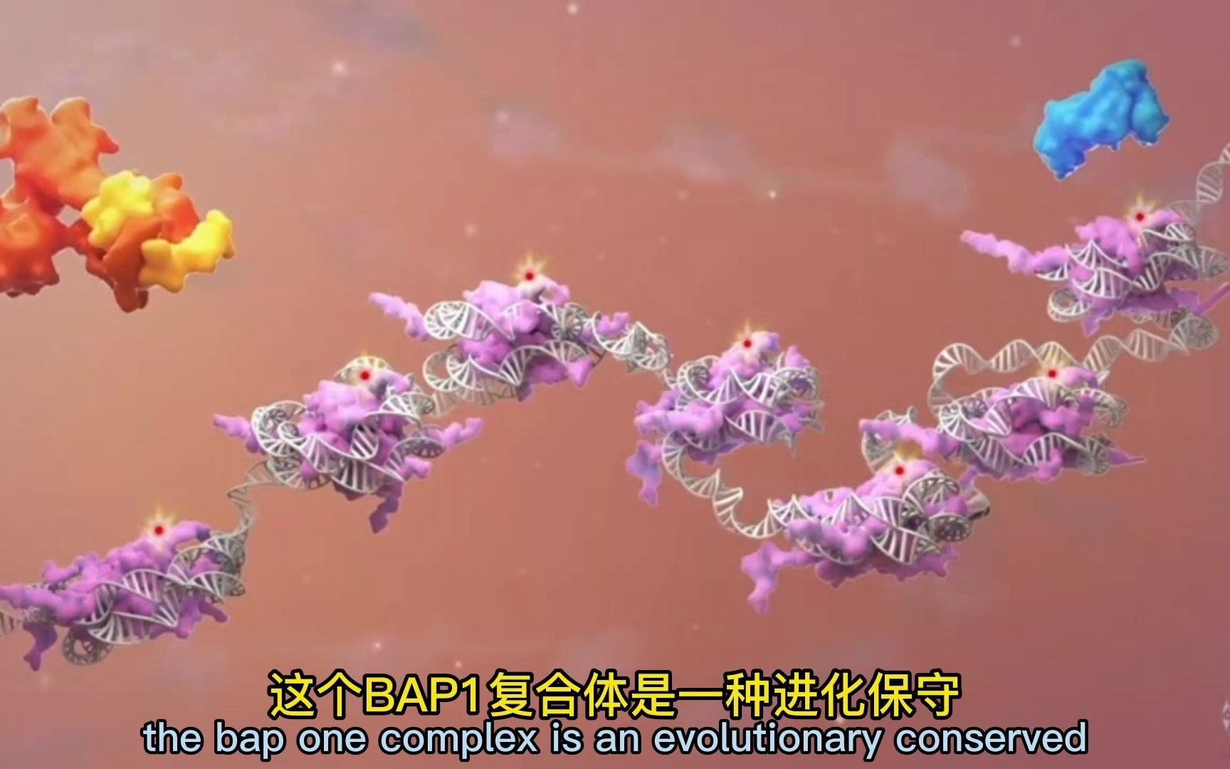 表观遗传学靶向疗法,为多种疾病治疗提供了新思路