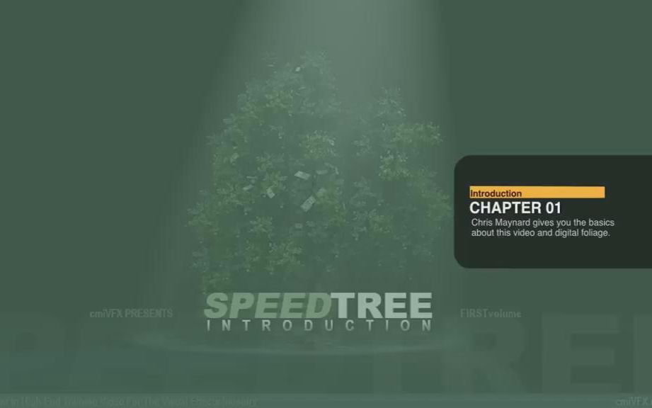 SpeedTree树木制作入门教程(中字)