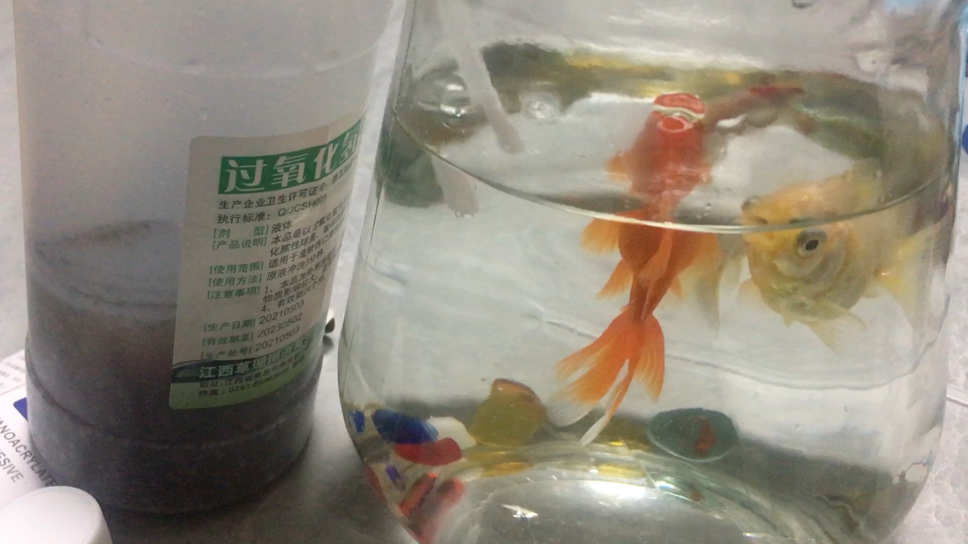 鱼没有氧气怎么办,自制制氧机