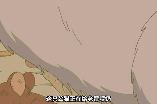 猫咪给老鼠喂奶,还和老鼠成了朋友,很有深意的治愈动画