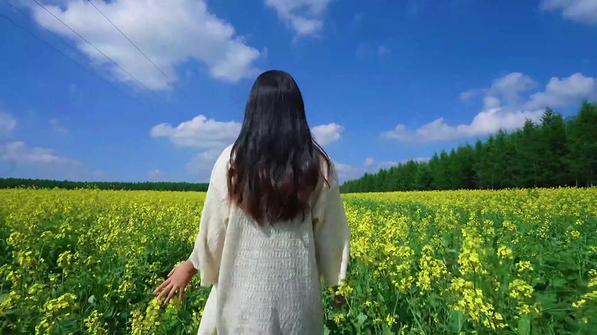 找不到答案的时候就去看这个世界,走进森林草原,尽享生态之美