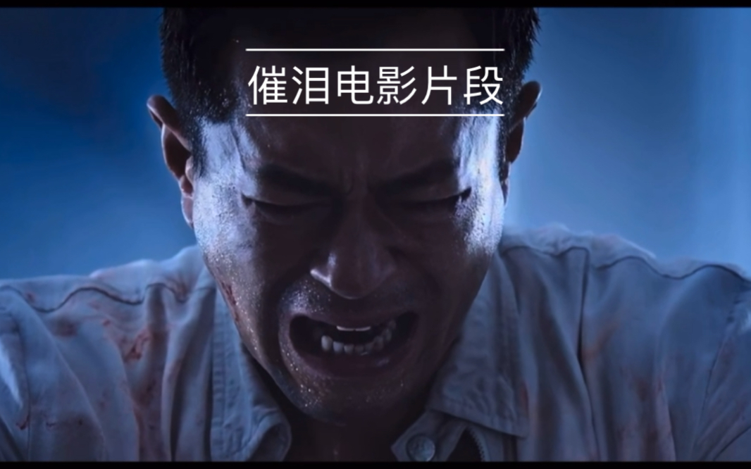 催泪电影片段,哪个让你最感动?