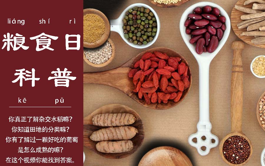【世界粮食日·科普】“手中有粮,心中不慌”—“青”听生动有趣的...
