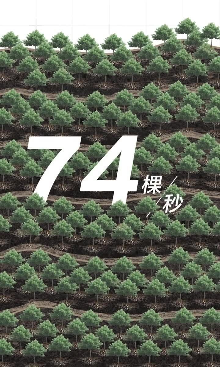 中国人种树有多厉害?"数给你看"!