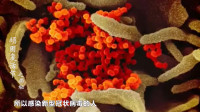 新型冠状病毒是什么?显微镜放大1000倍,看到图像不淡定