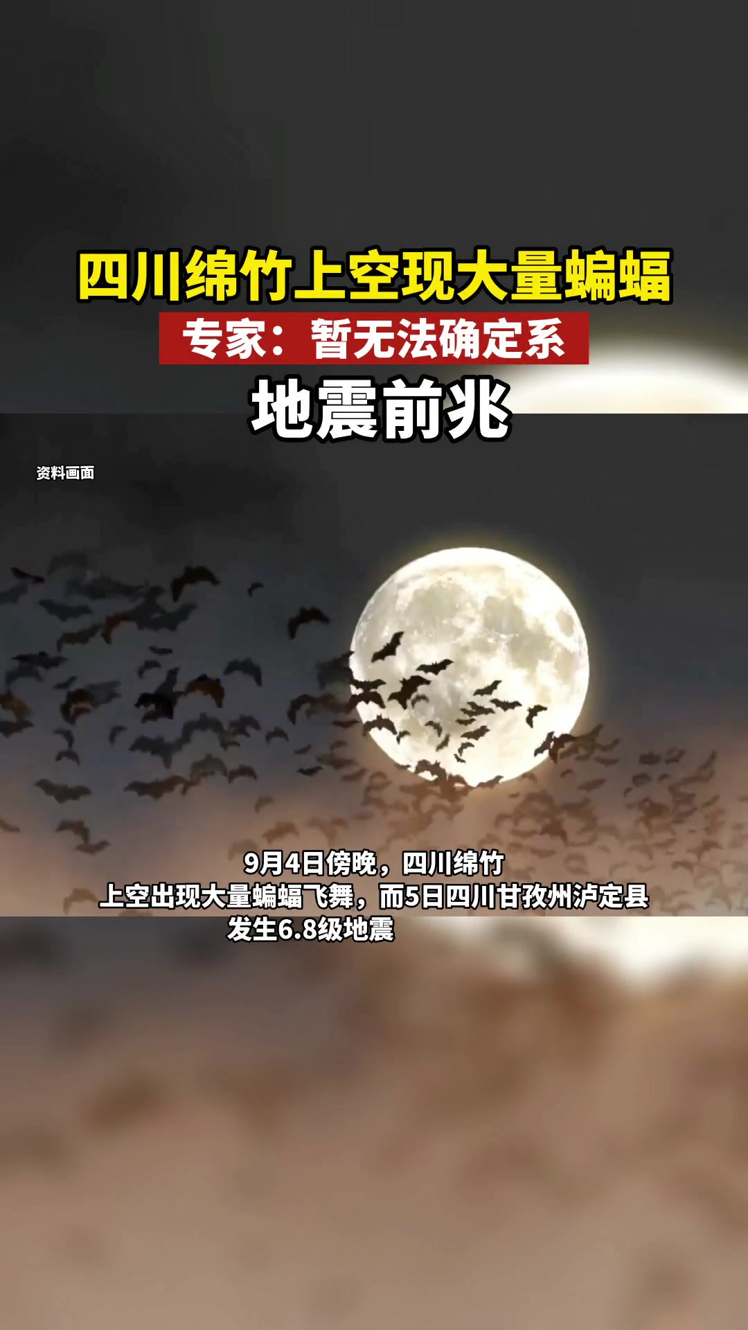 四川绵竹上空现大量蝙蝠,专家:暂无法确定系地震前兆#地震 #四川
