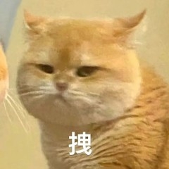 拿摸哦咪豆腐 