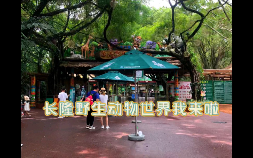 旅游Vlog–长隆野生动物世界(上)