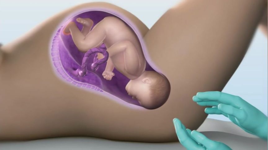 宝宝的诞生过程,比想象中的唯美