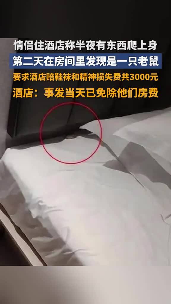 情侣住酒店称半夜被老鼠爬上身,要求酒店赔偿3000元