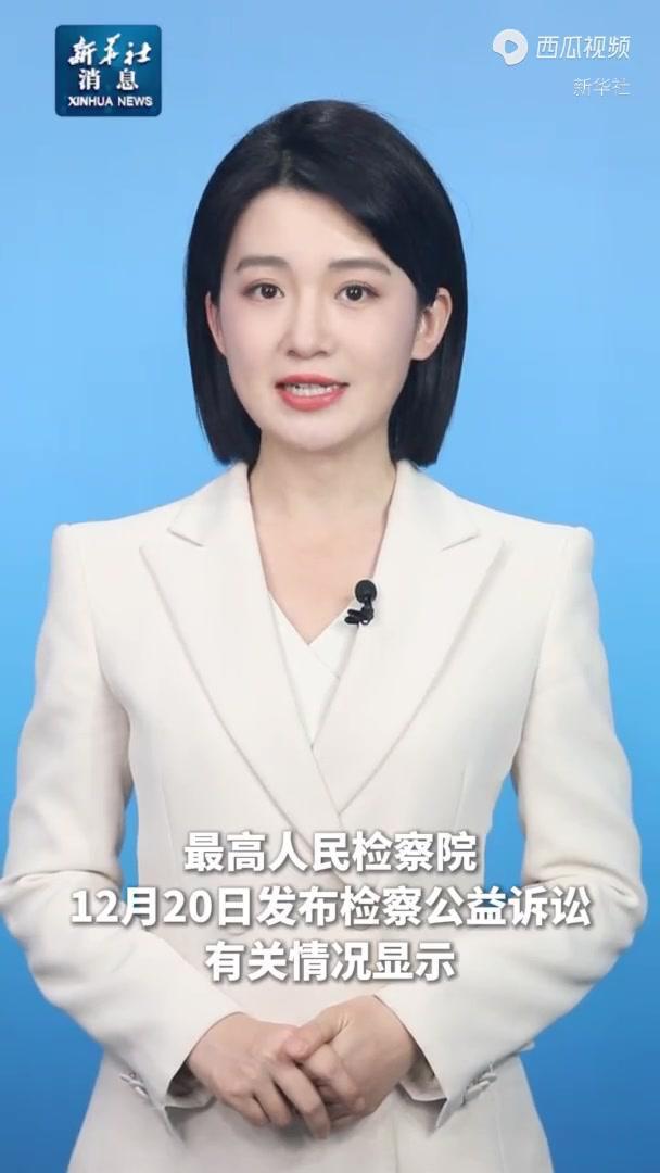 新华社消息|全国检察机关立案办理公益诉讼案件超110万件