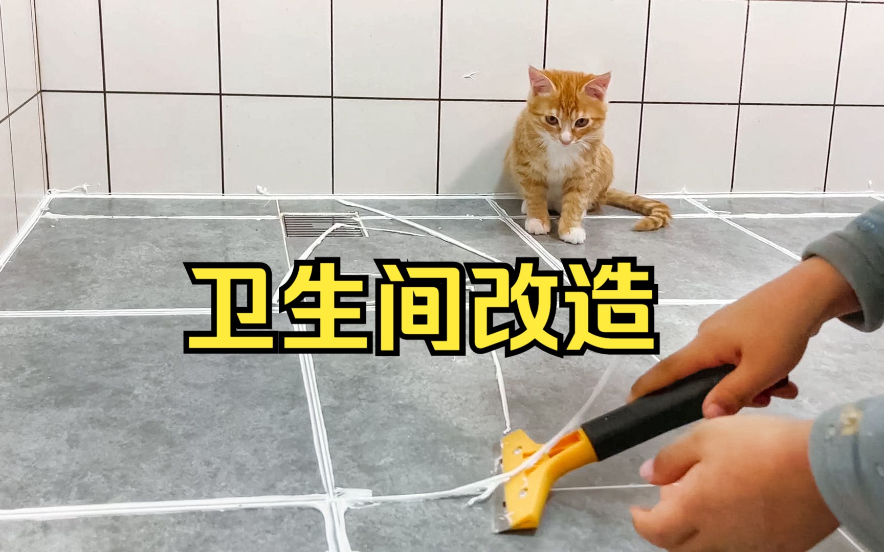 入住四年,我们终于改造了卫生间!