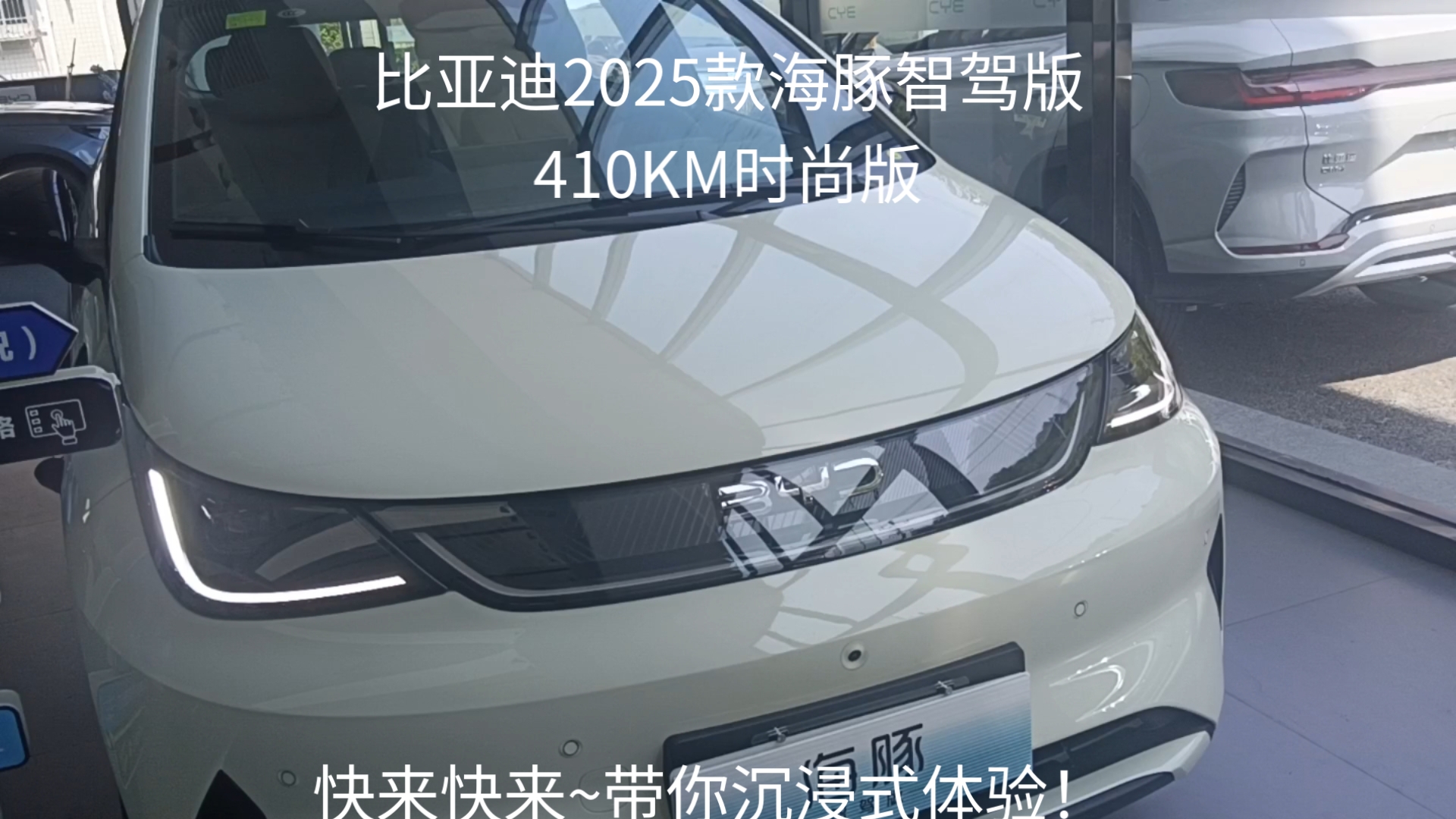 比亚迪2025款海豚智驾版 410KM时尚版 沉浸式体验!
