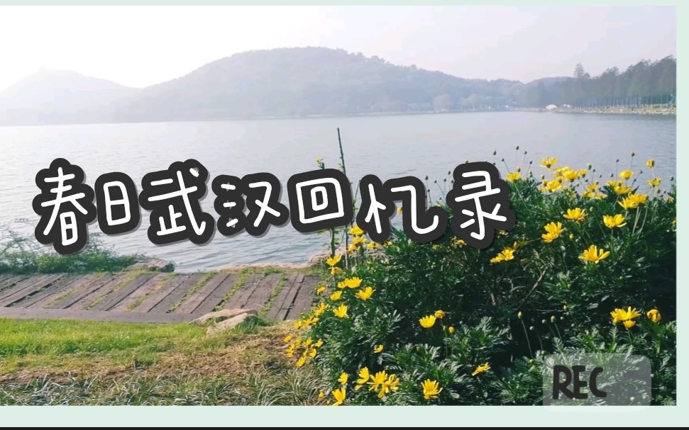 回到过去-2019年武汉的春天 带你看看新冠肺炎爆发前,武汉春天的...
