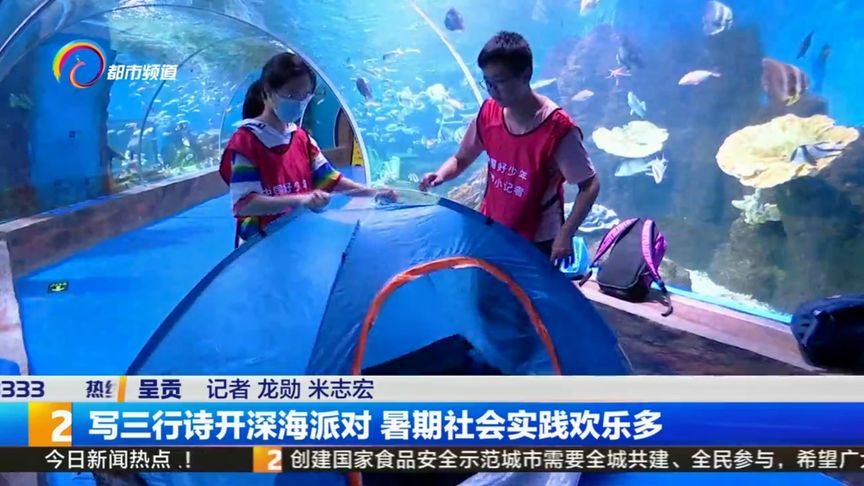 写三行诗开深海派对 暑期社会实践欢乐多