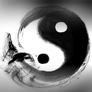 科学推运的小杨同学 