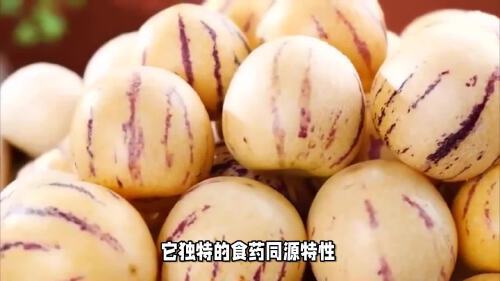 人参果抗寒真相大揭秘!长期食用竟能让你告别寒冬?