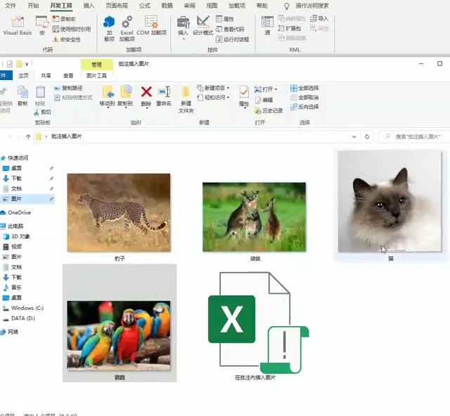 Excel vba批注插入图片