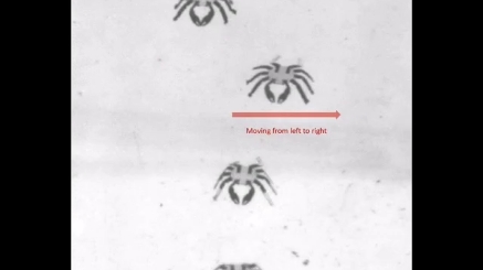 John A. Rogers美国西北大学-生物电子学研究所亚毫米级多材料地面...