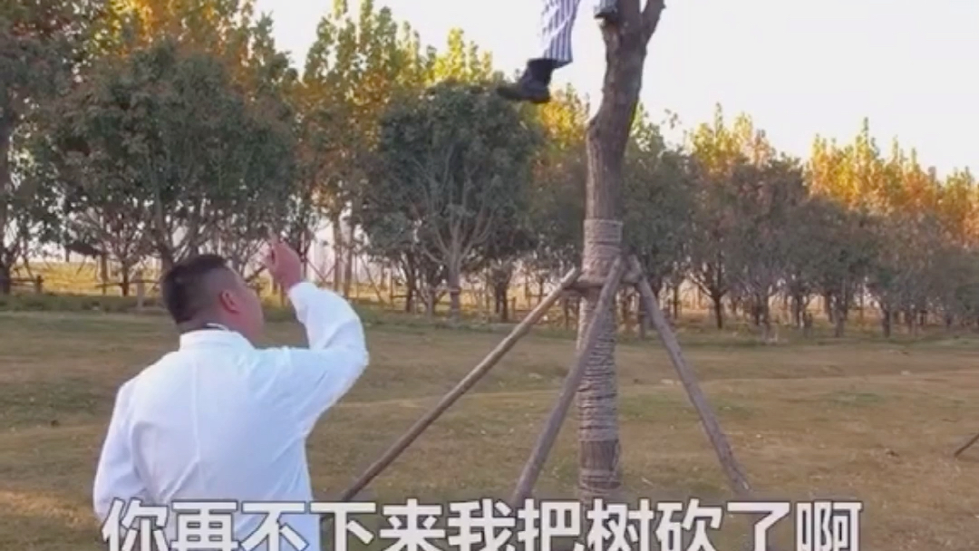 设备租赁,就上来分租。