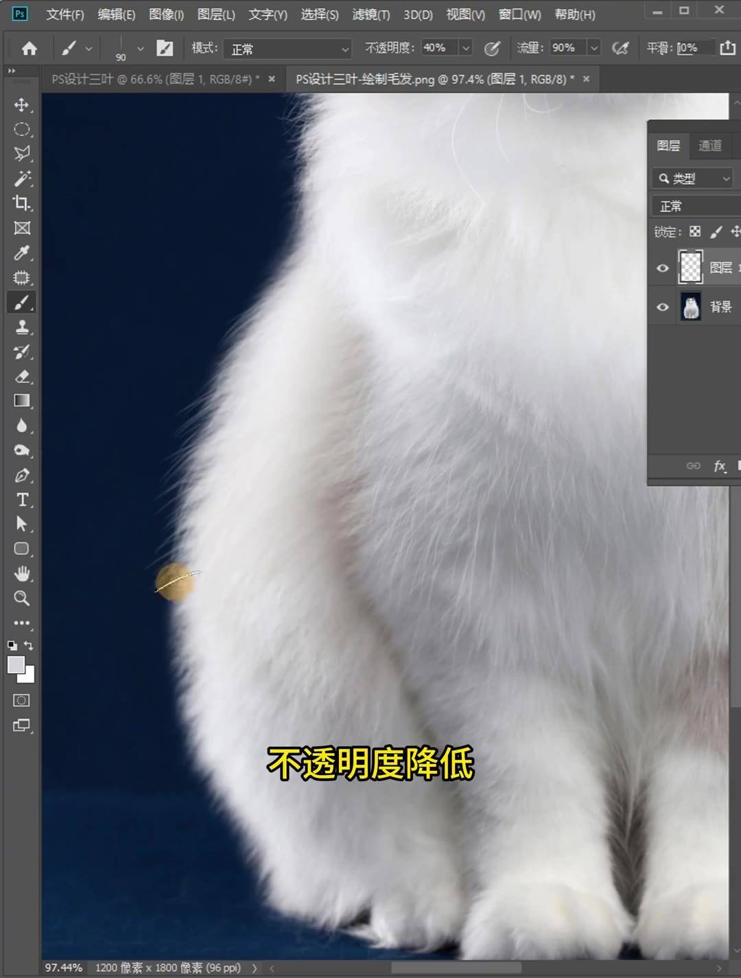 PS教程教你画真实毛发