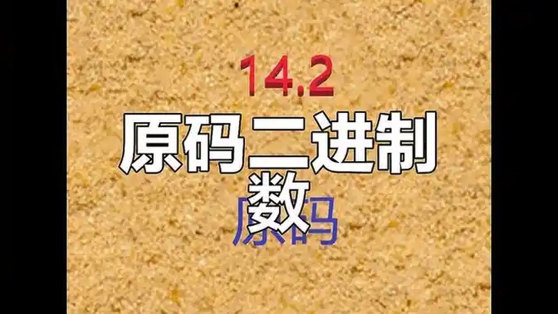 二进制数的原码表示与编码