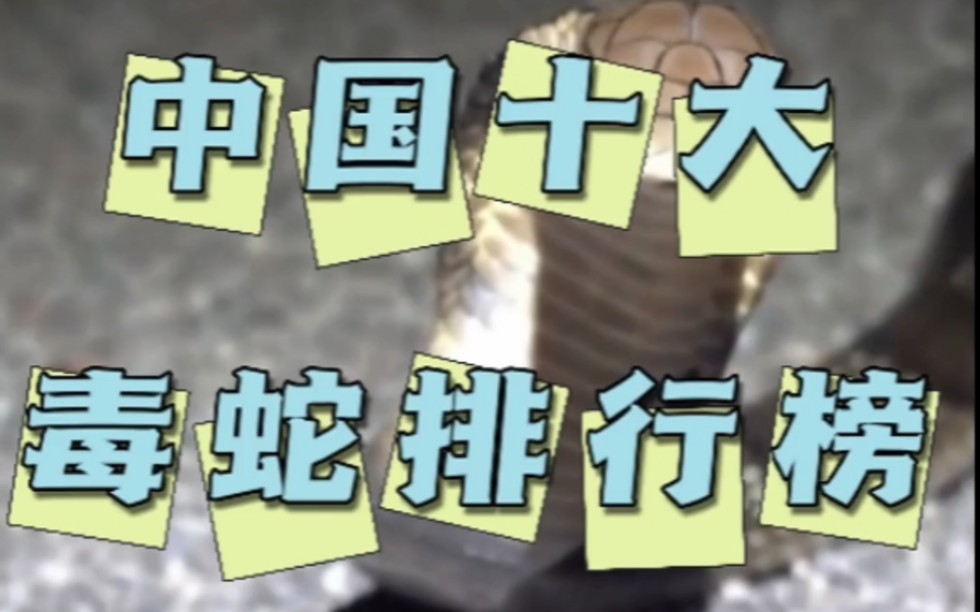 中国十大毒蛇排行榜,第三名眼镜王蛇,第一名居然是它