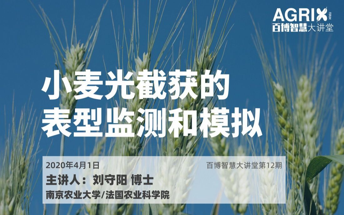 小麦光截获的表型监测和模拟