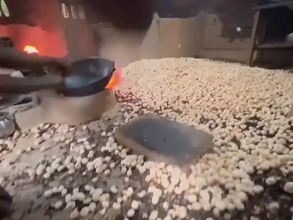 种芡实能赚大钱,但没人敢去收!