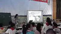 小学六年级语文优质课展示【广玉兰】课堂实录 教学视频