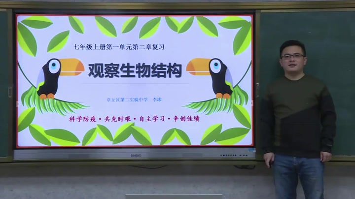 1济南版初中生物 观察生物结构 复习