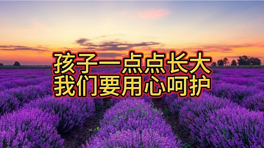 教育是一门艺术,指引孩子与指挥孩子的区别,一个视频就一目了然