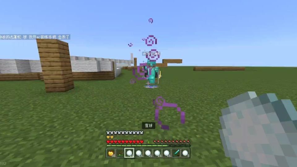 雪球_我的世界