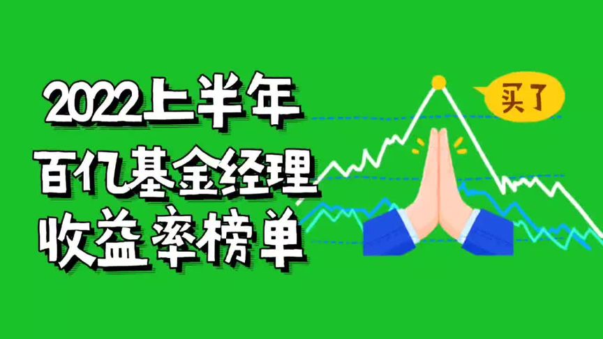 2022半年度百亿基金经理收益率榜单