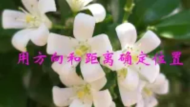 人教版六年级数学上册 2.1用方向和距离确定位置