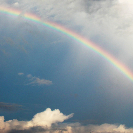 RainbowOlive 