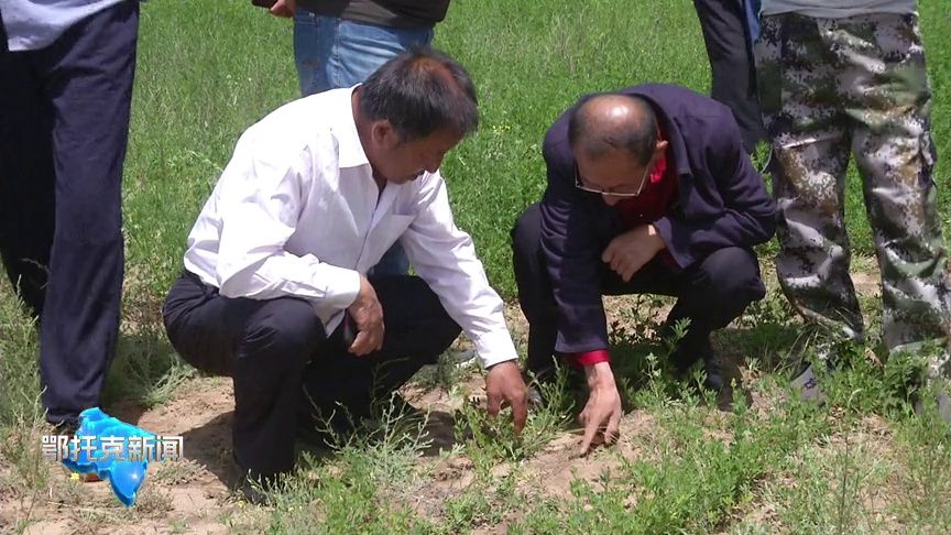 我旗举办2021年科技活动周暨全市第二十六届科普活动