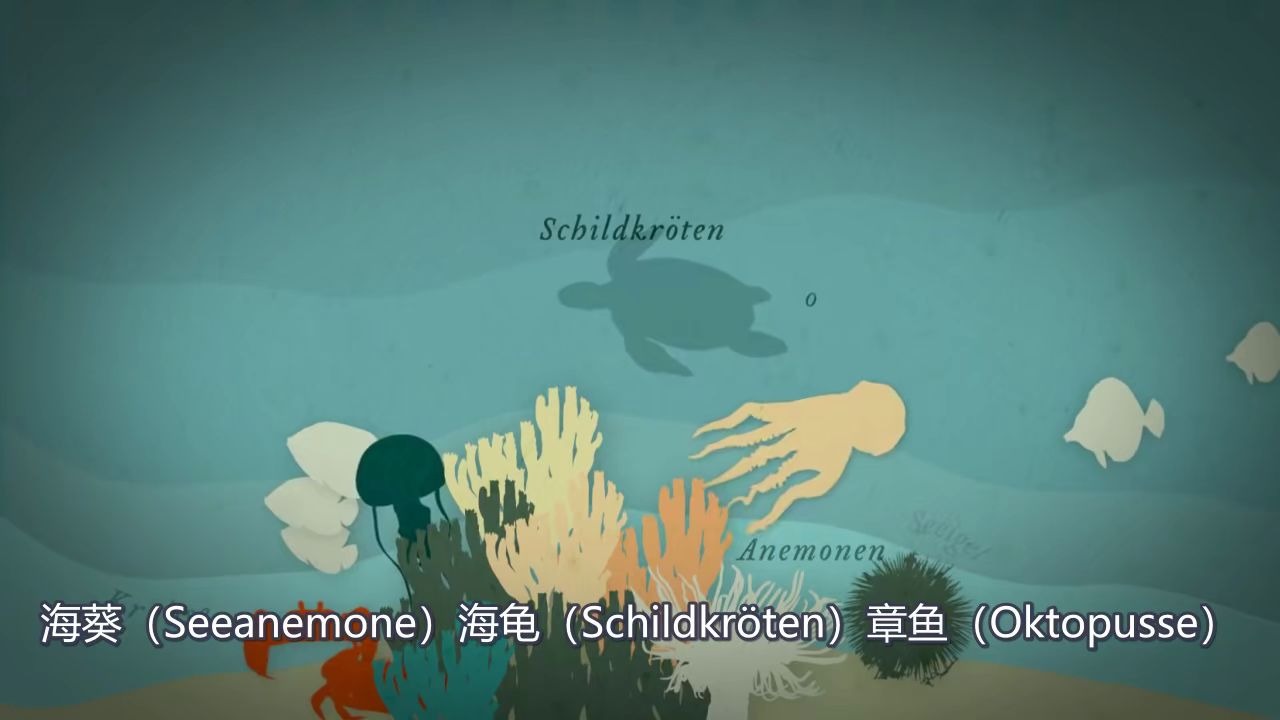 【德音中字】简单的带你了解什么是生物多样性