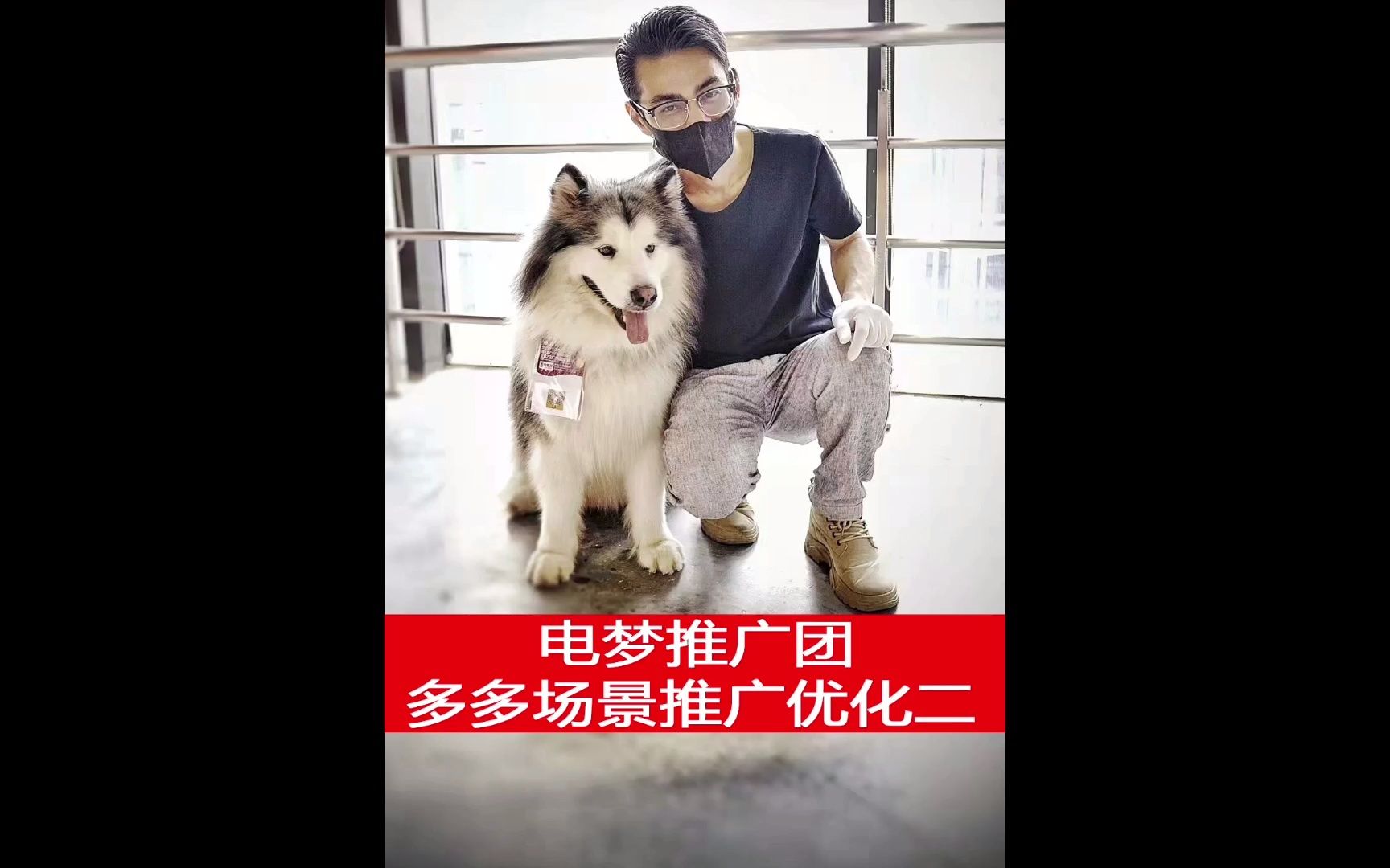 拼多多推广技巧:oCPX智能单品场景推广 第二集 省钱 #电商人加油