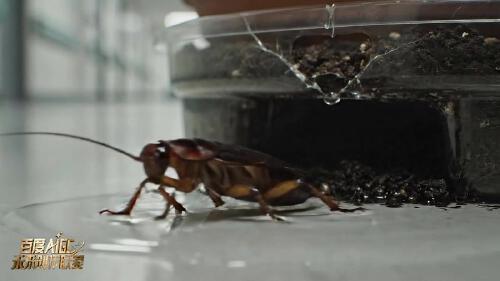 水滴暗藏杀机!听,那节拍器般的滴答声竟是死亡倒计时