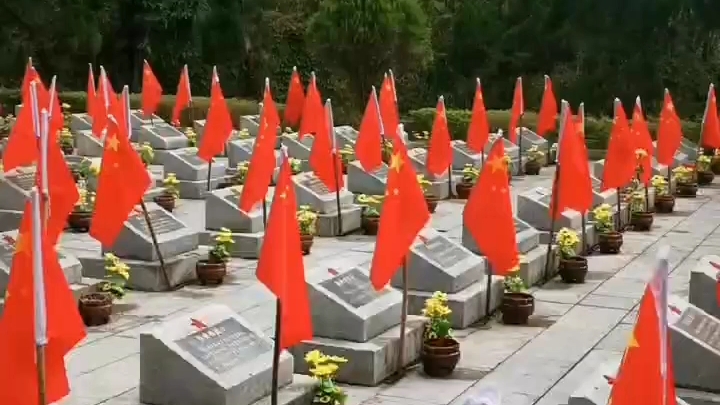 致敬革命英烈,退役老兵自发祭扫烈士墓铭记历史