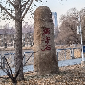 探戈不鸽 