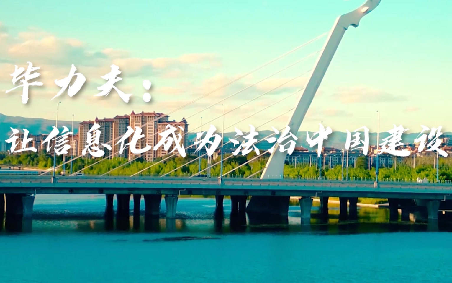 毕力夫:让信息化成为法治中国建设的助推器