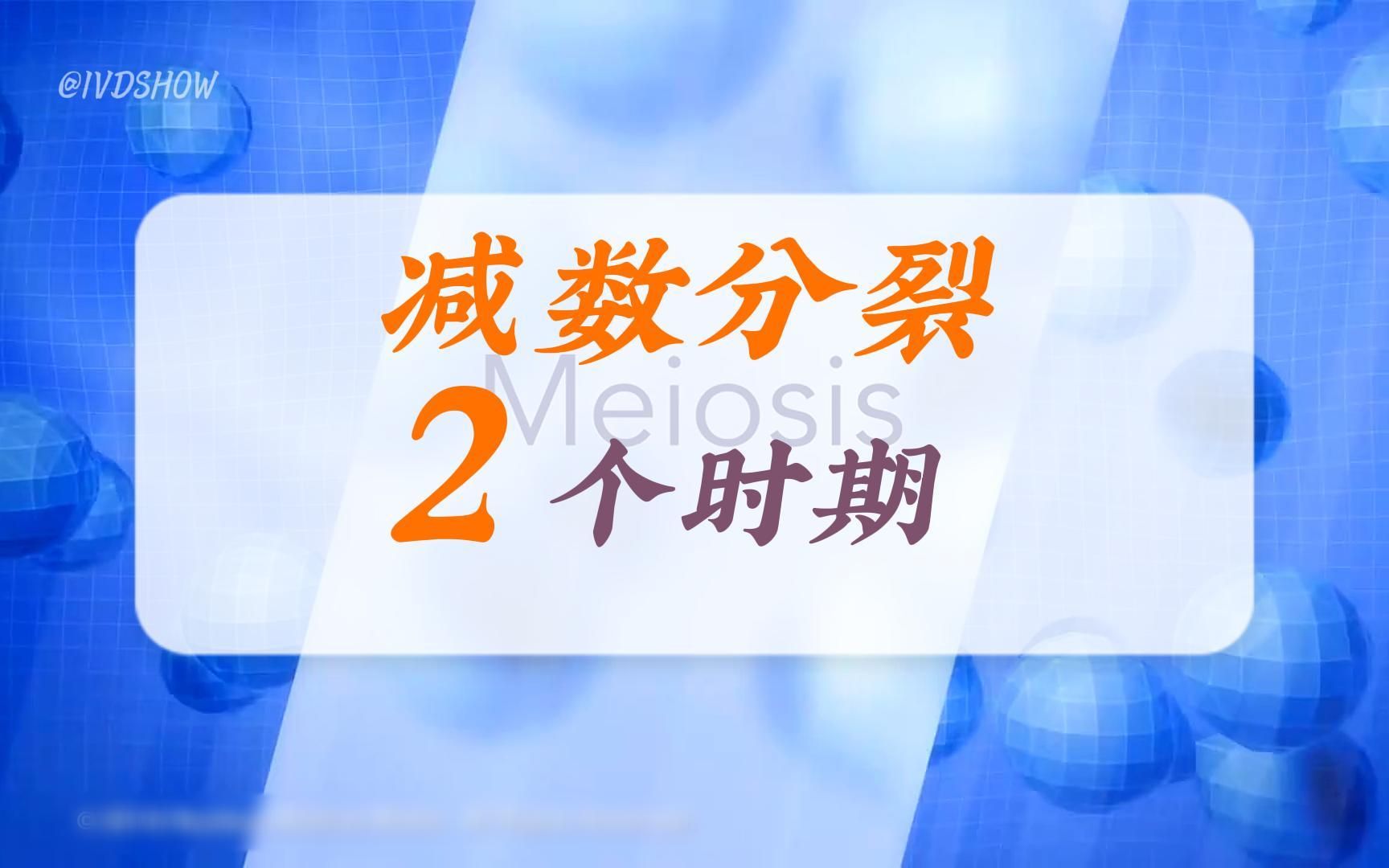 减数分裂的2个时期,4大阶段,人类分子遗传学必备知识点!