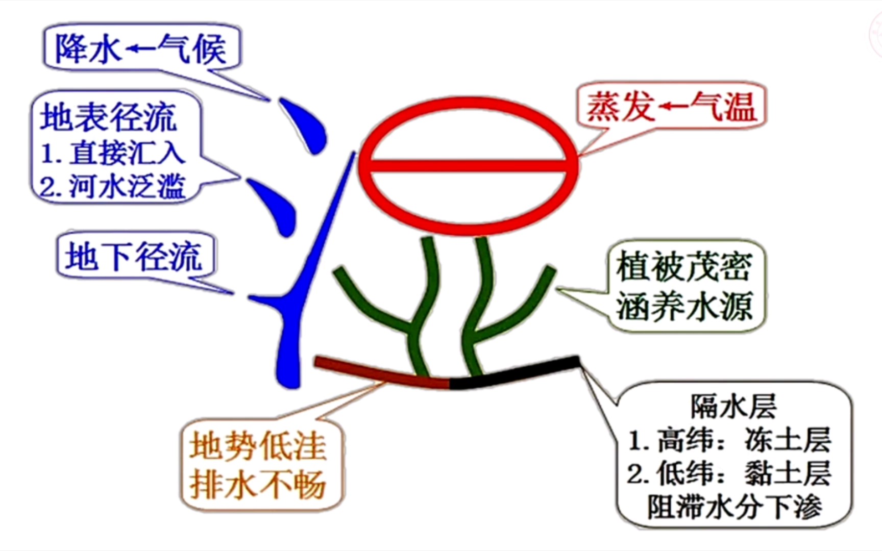 【地理微课】湿地的形成