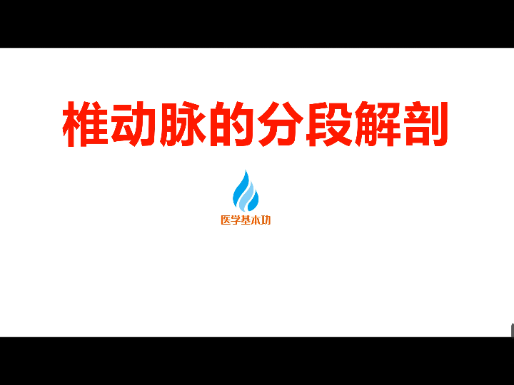 学习-椎动脉的分段解剖