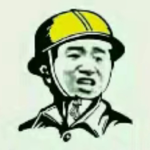 zhgp09 